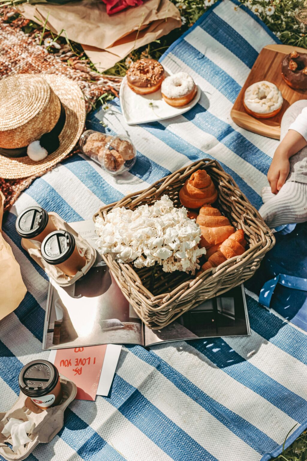 What Is a Picnic? Meaning, History & Modern Traditions